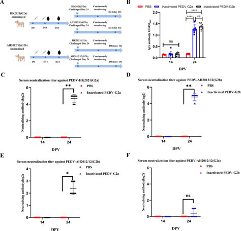 Efficacy Evaluation Of A Bivalent Subunit Vaccine Against Epidemic Pedv Heterologous Strains