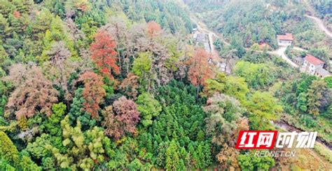 湖南新田冬日瑶乡 色彩斑斓组图 腾讯新闻