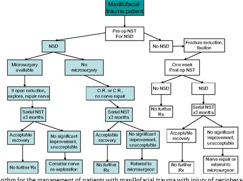 Trigeminal Nerve Branches Chart