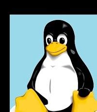 OpenCV 画像をせん断平行移動する方法 pystyle