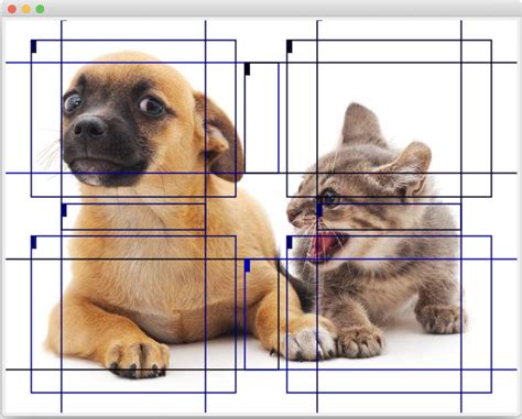 133 Multiscale Object Detection — Dive Into Deep Learning 010
