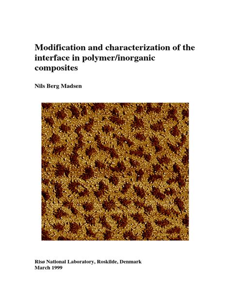 Berg Madsen N Interface In Polymer Inorganic Composite Pdf Composite Material Polymers