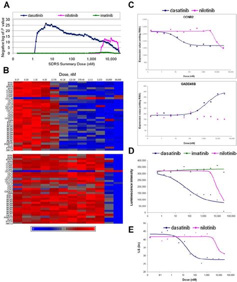 Dose Dependence Of Impact On Cell Cycle For Dasatinib Nilotinib And Download Scientific