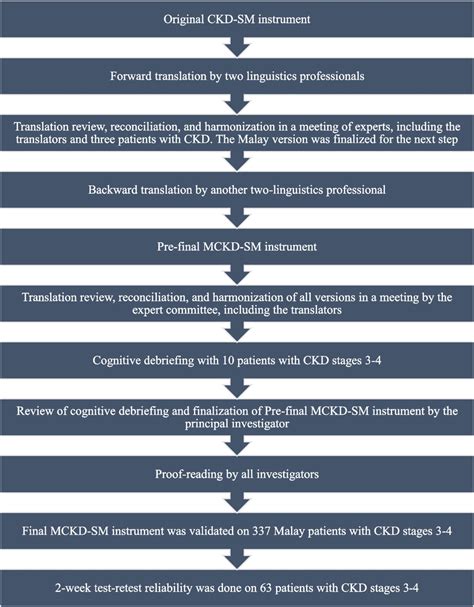 Translation And Validation Process Download Scientific Diagram
