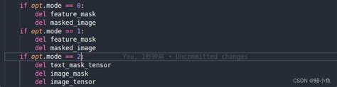 （已解决）在本机跑得好好的，连上客户端之后，第二次运行报错：runtimeerror：cuda Out Of Memory显存不够导致程序