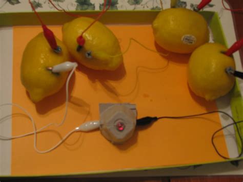 Momtastic Adventures Girls Scouts And The Science Fair Project