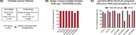 Classical Hla Genes Are Rarely Mutated In Primary Prostate Cancer A