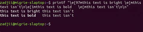 Wrong Font For Bold Text In Wsl · Issue 10709 · Microsoftterminal · Github