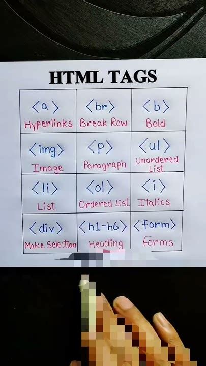 Html Tags 🔤🍀🌿🍃☘️🌴🌻 🍁🍂🏝️🌸🌺🌼🏵️💓 ☺️shortvideo English Viralvideo Education Learning Youtube