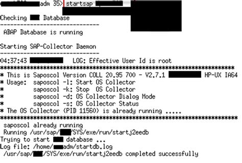 sap kernel sap kernel upgrade in unix environment