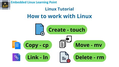 Create Copy Link Move And Delete Files How To Work With Linux Ep