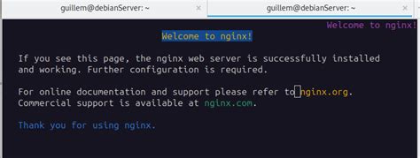 Primeros Pasos Con Docker Formación En Guillem