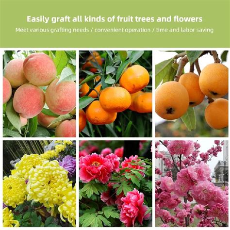 Нов професионален комплект овощна градинска ножица за присаждане