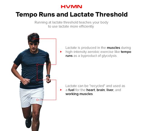 Tempo Runs Threshold Training For Improved Endurance Hvmn Blog Ketone Iq®