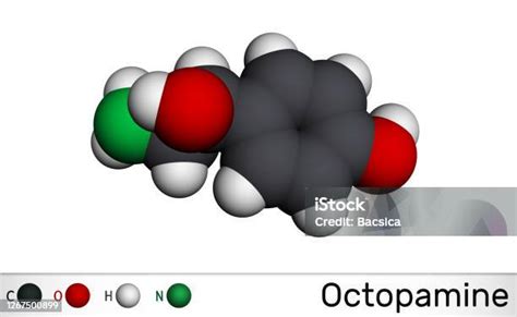 문토파민 분자 그것은 생생 제 학적 페닐레타놀라민 교감 성 약물입니다 구조적 화학 적 포뮬러 및 분자 모델 분자 모델 3차원 형태에 대한 스톡 벡터 아트 및 기타 이미지