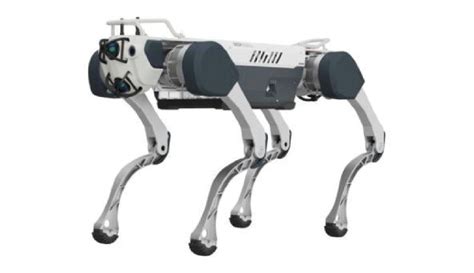 Legged Robot Basics An Introduction