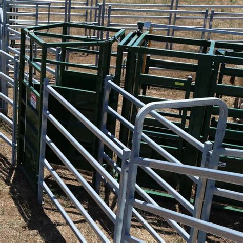 Cattle Sorting Gate Easy Safe Efficient Cattle Sorting Arrowquip