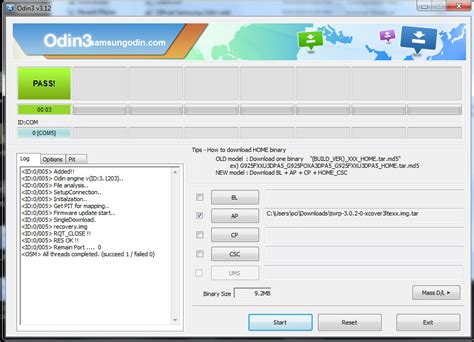 Odin File Analysis Permedica