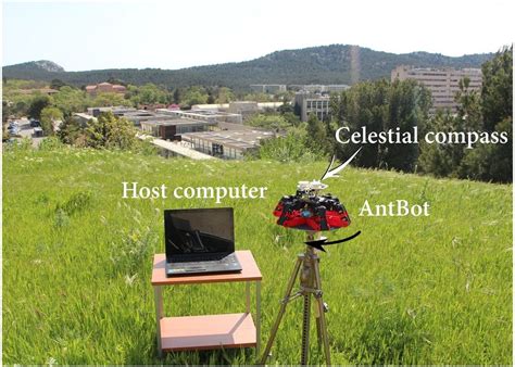 Experimental Context Photograph Showing The Environmental Context Of