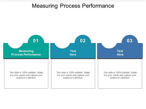 Measuring Process Performance Ppt Powerpoint Presentation Portfolio