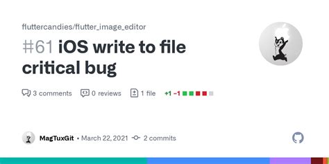ios write to file critical bug by magtuxgit · pull request 61 · fluttercandies flutter image