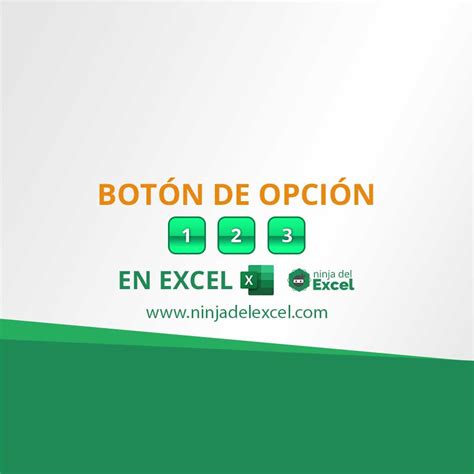 Botón De Opción En Excel Un Recurso Que Te Ayudará Mucho Ninja Del