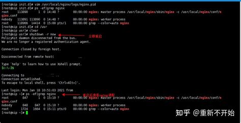 Linux离线安装nginx及配置自启动 知乎