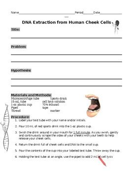 DNA Extraction Lab Report By St Century Science TpT