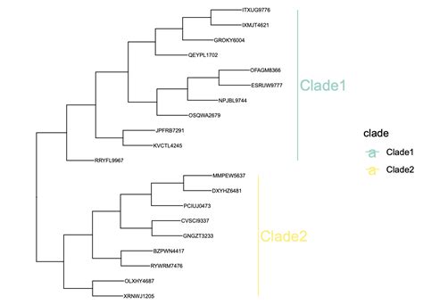 13 Node Annotation Iphylo Tutorial