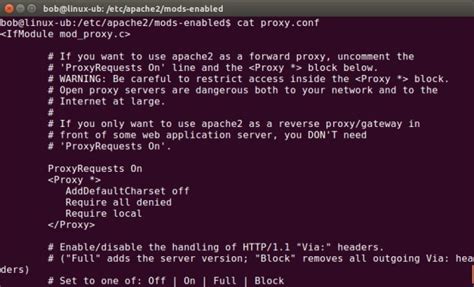 configure apache as a forward proxy apache