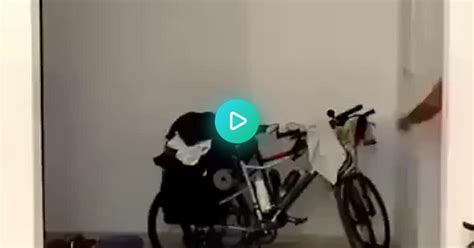 A Pretty Substantial Dump From The Past 2 Years With Nothing But