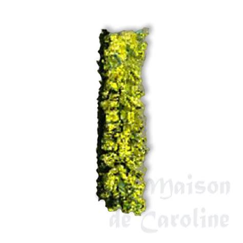 Haie Jaune Arbustes Accessoires Et Miniatures 1 12 Pour Maison De