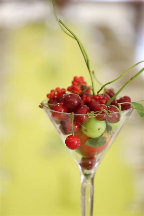 무료 사진 칵테일 체리 달콤한 건포도 체리 신선한 베리 과일 디저트 비타민