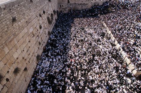 the Kotel Photograph by Harel Stanton