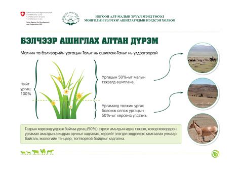 Бэлчээр ашиглах алтан дүрэм Pdf