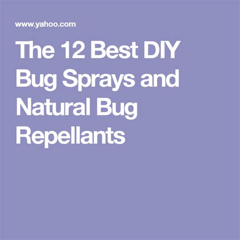 The 12 Best Diy Bug Sprays And Natural Bug Repellants Diy Bug Spray