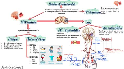 Accidente Cerebrovascular Escuelas Saludables Fisiología Accidente