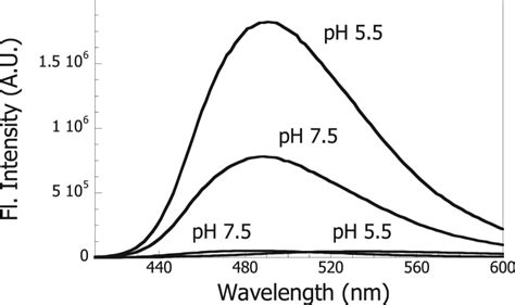 The Hsp60 Protein Of Helicobacter Pylori Displays Chaperone Activity