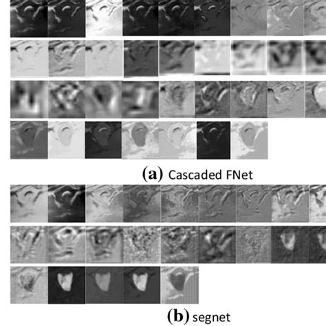 The Feature Maps Select From All Convolution Layers And We Randomly