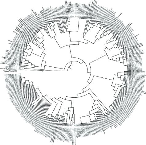Bayesian Inference Tree Combined With 301 Coi Sequences From The