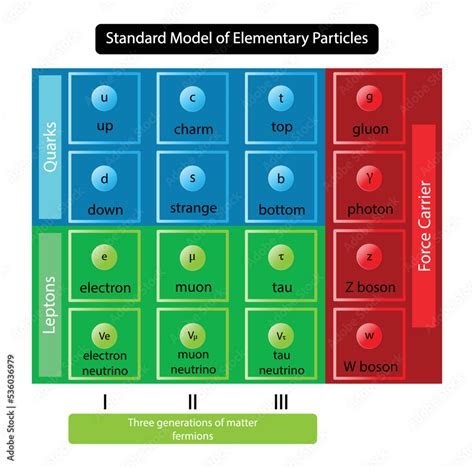 Illustration Of Quantum Physics Standard Model Of Elementary Particles