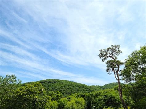 용인 당일 나들이로 좋은 용인자연휴양림 네이버 블로그