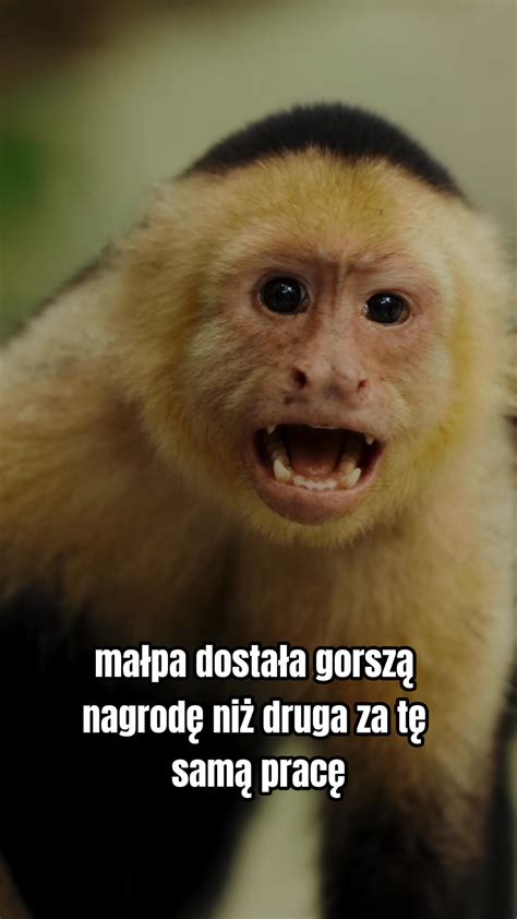 Faktybezgranic