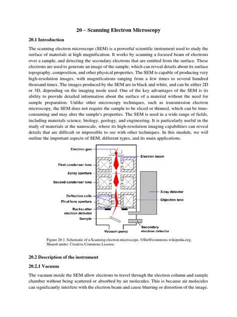 20 Notes Scanning Electron Microscopy 1 7 Download Free Pdf Scanning Electron Microscope