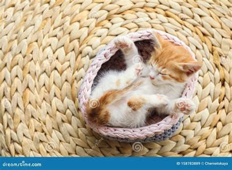 Cute Little Red Kitten Sleeping In Knitted Basket On Wicker Mat Stock