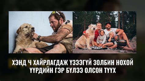 Ep 05 Хэнд ч хайрлагдаж үзээгүй золбин нохойны сэтгэл хөдлөм түүх Youtube