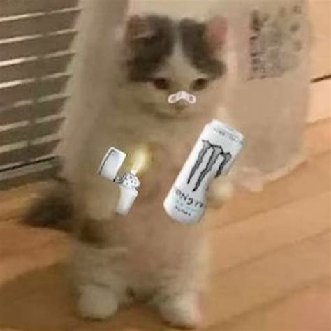 Avalanche Rust Youtube