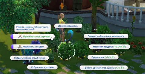 Как собрать подписи в симс 4 — коллекция фото и изображений по теме ДзенРус