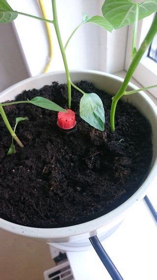 Mqtt Home Automated Blinds Artofit