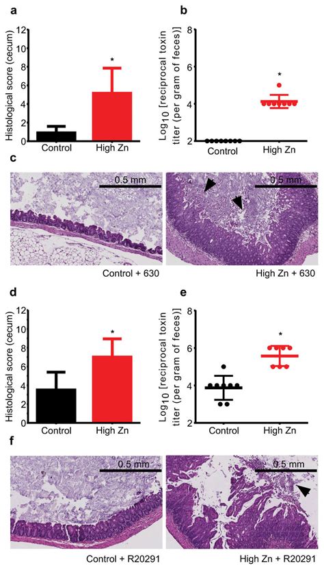 Excess Dietary Zn Exacerbates C Difficile Associated Disease Download Scientific Diagram
